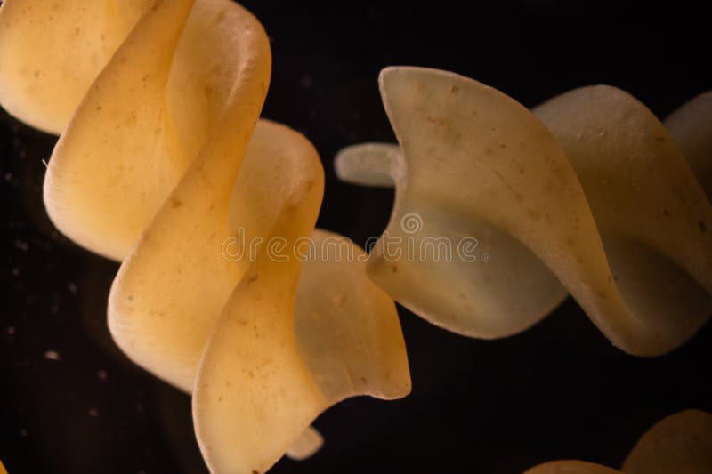 Yellow Spiral Pasta in a Pile Stock Image - Image of lunch, bunch ...