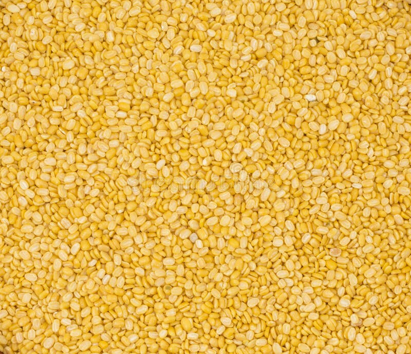 Yellow Split Dal stock photo. Image of divided, cover - 159010674