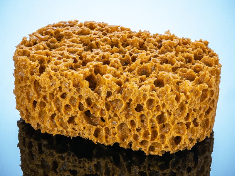 Yellow Sponge for Abstract Decor Effect and Paints the Wall Stock Image ...