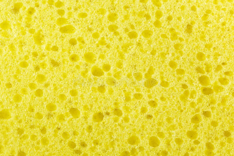 Sponge texture stock photo. Image of natural, color, isolated - 22097588