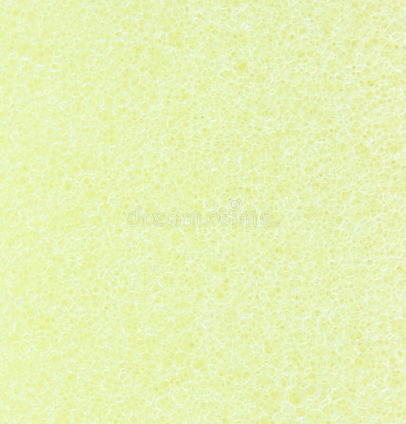 Yellow sponge pores detail stock photo. Image of pattern - 14318854