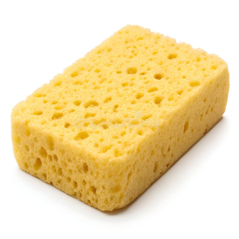 Yellow Sponge Texture Isolated on White Background Stock Illustration ...