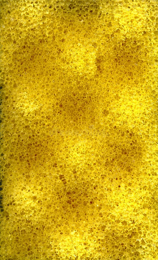 Yellow sponge texture stock image. Image of yellow, color - 35352991