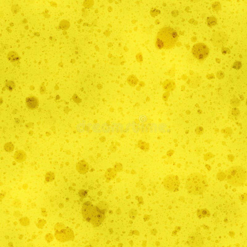 Seamless sponge texture stock photo. Image of texture - 16441860