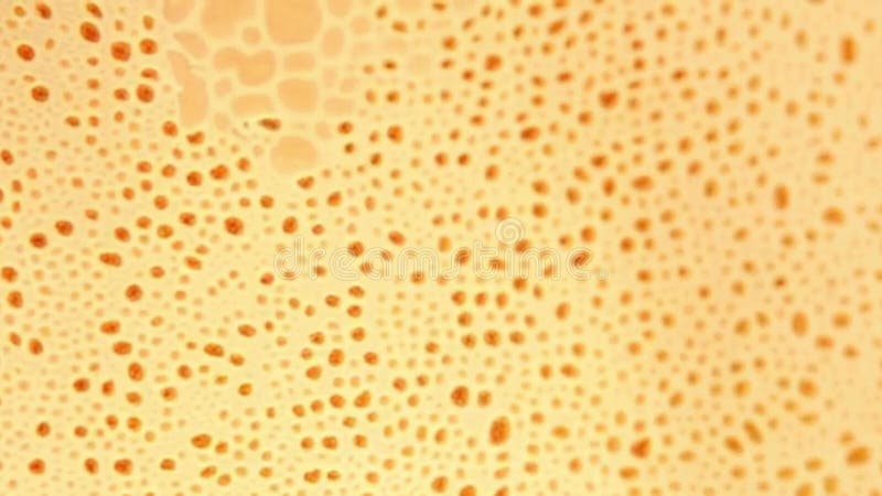 Yellow Sponge Texture Seamless Pattern with Bubbles and Water Drops in ...