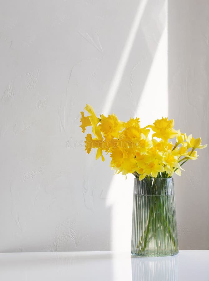 Yellow Spring Daffodils in Glass Vase on White Background Stock Image ...