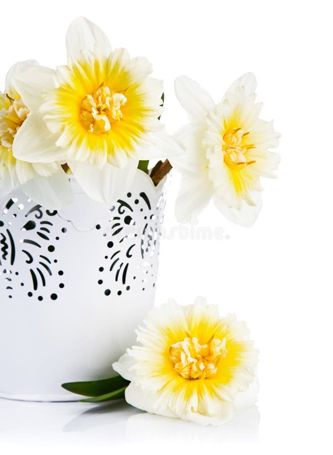Yellow Spring Flowers in Bucket Stock Image - Image of bush, season ...