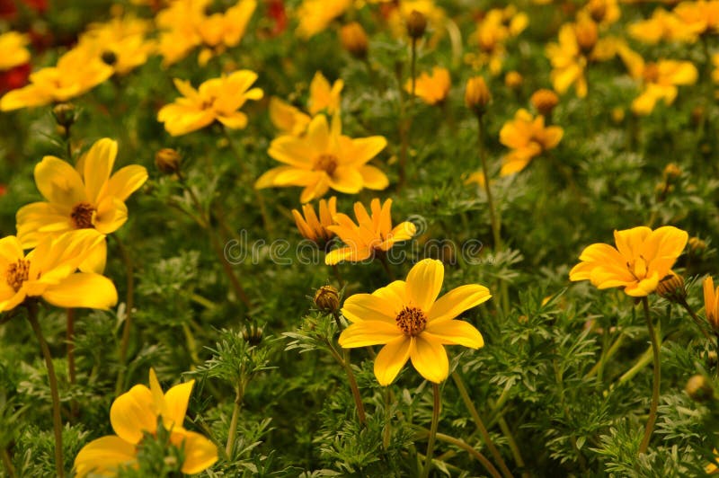 Goldilocks Rocks Stock Photos - Free & Royalty-Free Stock Photos from ...