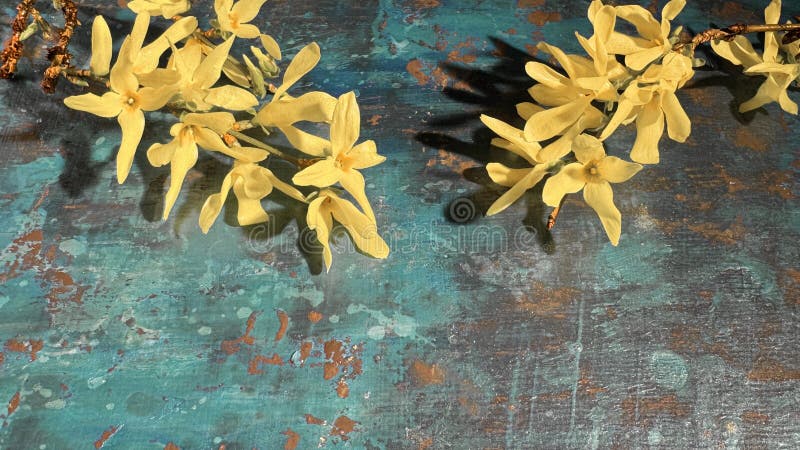 Yellow Spring Flowers on a Rustic Blue Textured Background with Natural ...