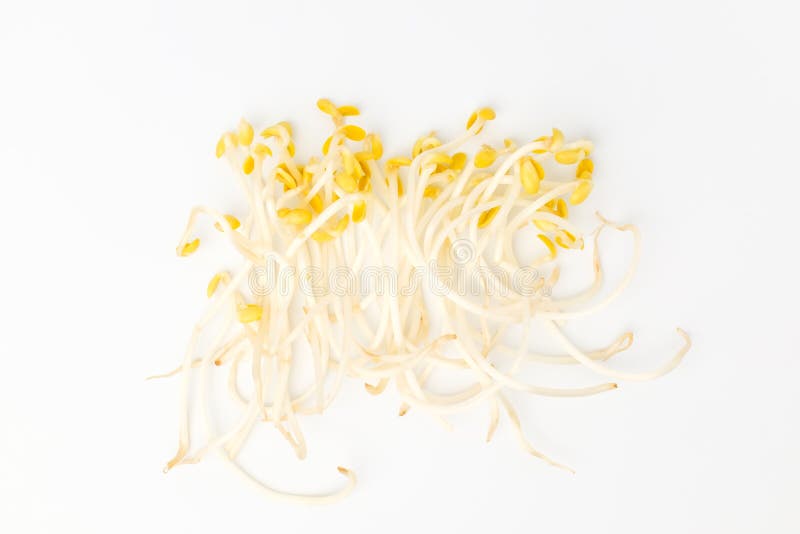 Yellow Sprouts on White Background Stock Image - Image of vegetable ...