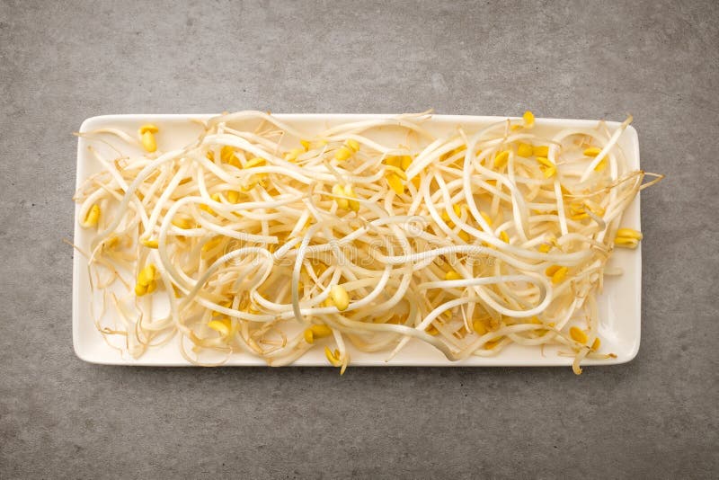 Yellow Sprouts on White Background Stock Image - Image of soft ...