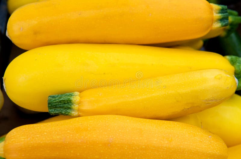 Yellow Squash stock image. Image of produce, ooking, eating - 9867133