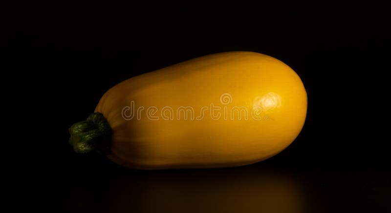 Yellow Squash on Dark Background Stock Illustration - Illustration of ...