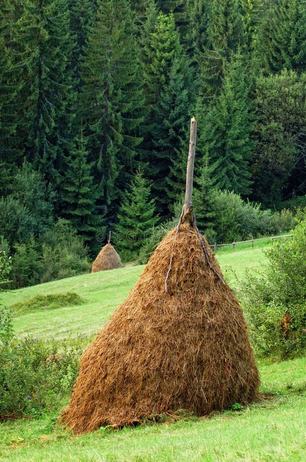 Yellow stack on a slope stock photo. Image of raian, green - 48822878