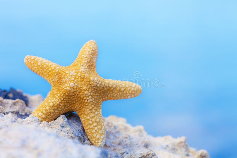 Yellow Starfish and Bath Salt Stock Image - Image of care, design: 19478989