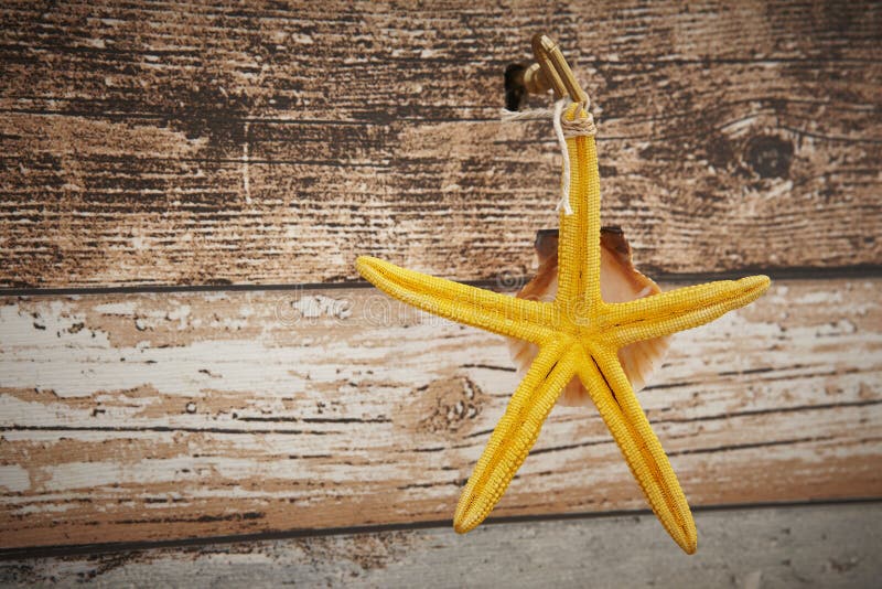 Yellow Starfish and Shell Key Holder Stock Image - Image of reef, shape ...
