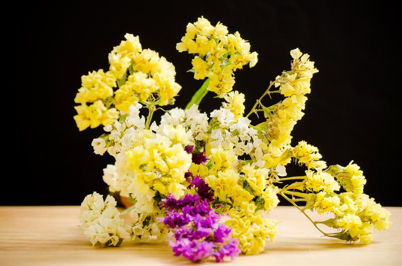 Yellow statice flowers stock photo. Image of floral, bright - 89792958