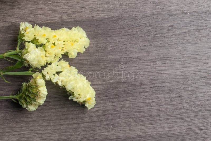 Yellow Statice Flowers on the Ground Stock Image - Image of flower ...
