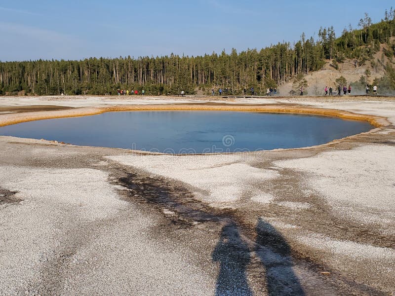 Stone pig by lake stock image. Image of sunshine, setting - 255322525