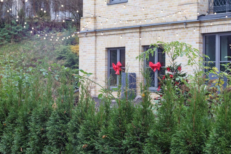 .a Yellow Stone Wall with Windows Decorated with Red Bows and a Hedge ...
