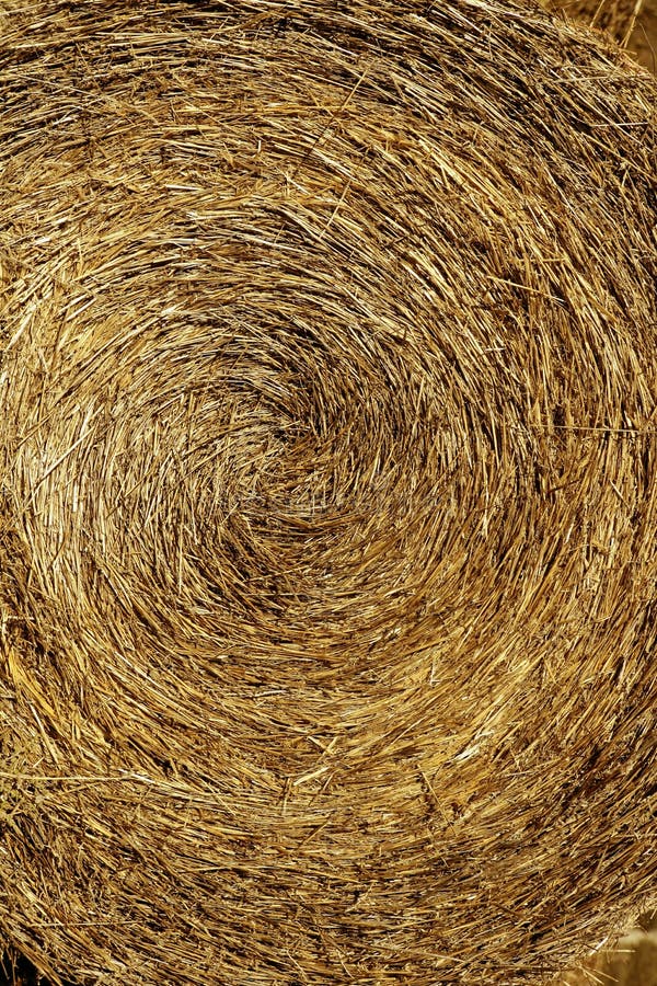 Round hay bale stock image. Image of golden, single, object - 97802405