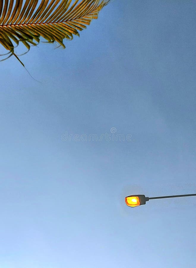 Yellow Street Lights Hawaii at Jeremiah Jobe blog