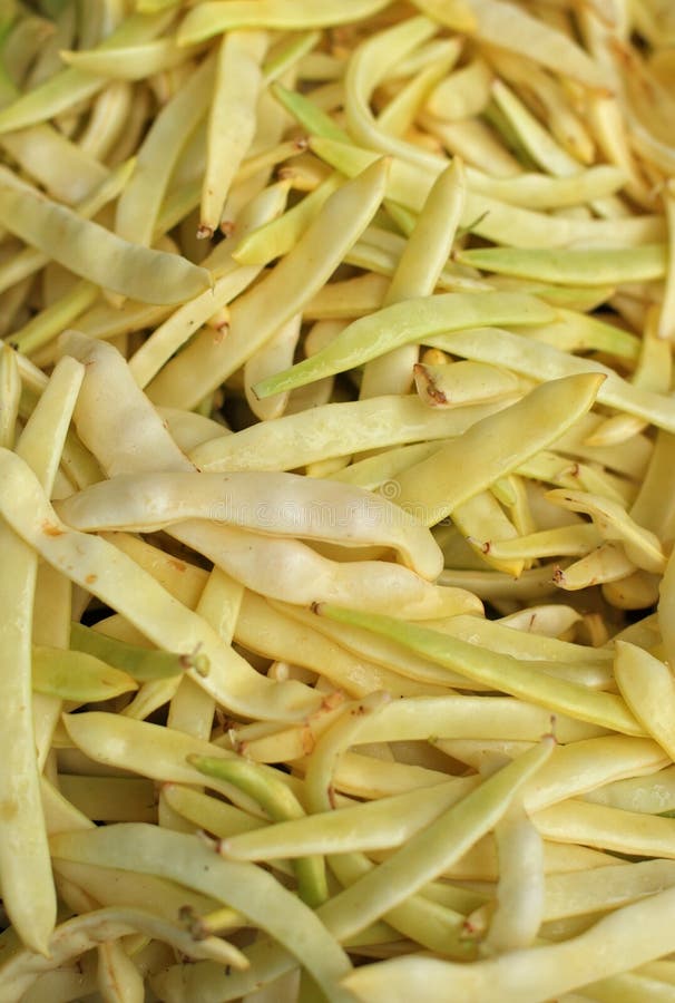 String bean in pods stock image. Image of cook, eating - 5625907