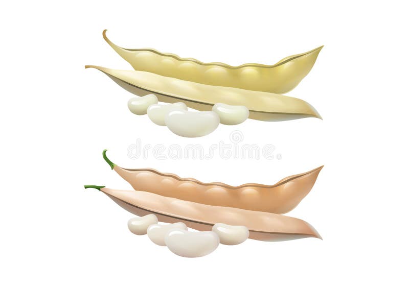 String Bean Cartoon Stock Illustrations – 69 String Bean Cartoon Stock ...