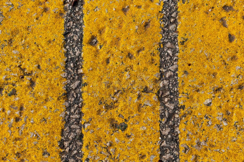 Yellow Striped Road Markings on Black Asphalt. Stock Image - Image of ...