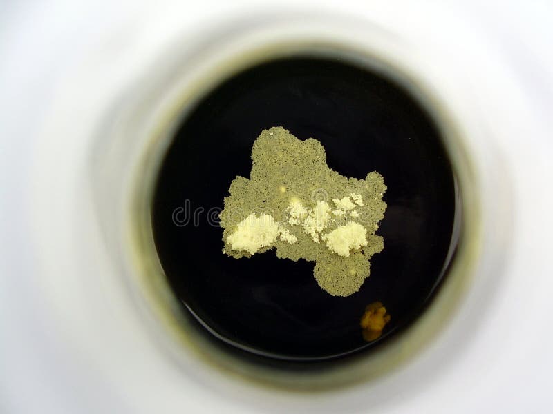 Yellow sulfur in liquid stock photo. Image of dissolving - 928174