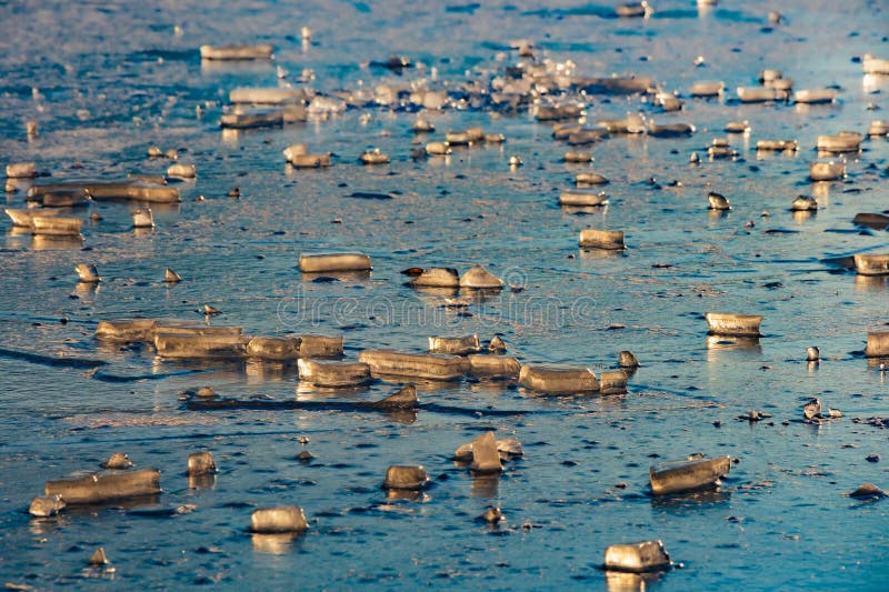 Yellow Sunlight in Ice Chunks on Blue Ice Surface. Sunlight is ...