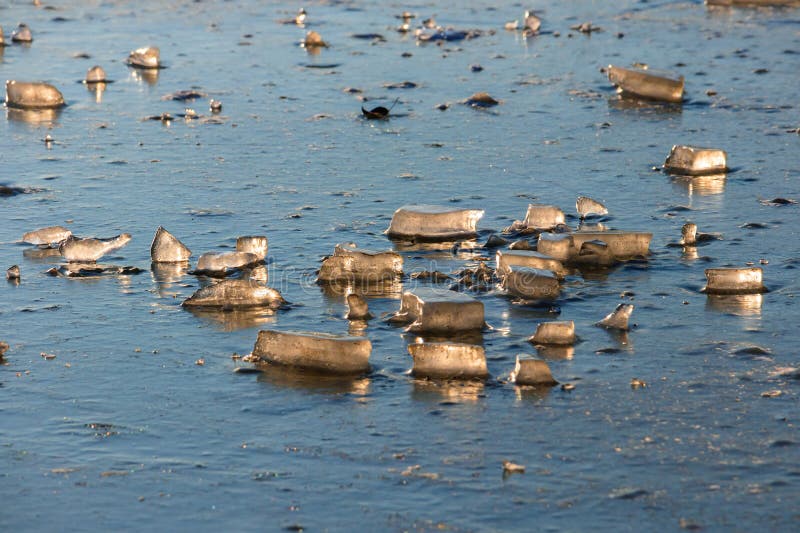 Yellow Sunlight Refracts through Chunks of Ice on the Surface of Blue ...