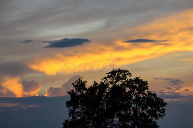 Sunset behind tree stock image. Image of full, tree - 106843073
