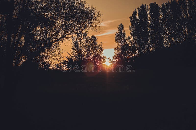 Sunset in the woods stock photo. Image of countryside - 63787428