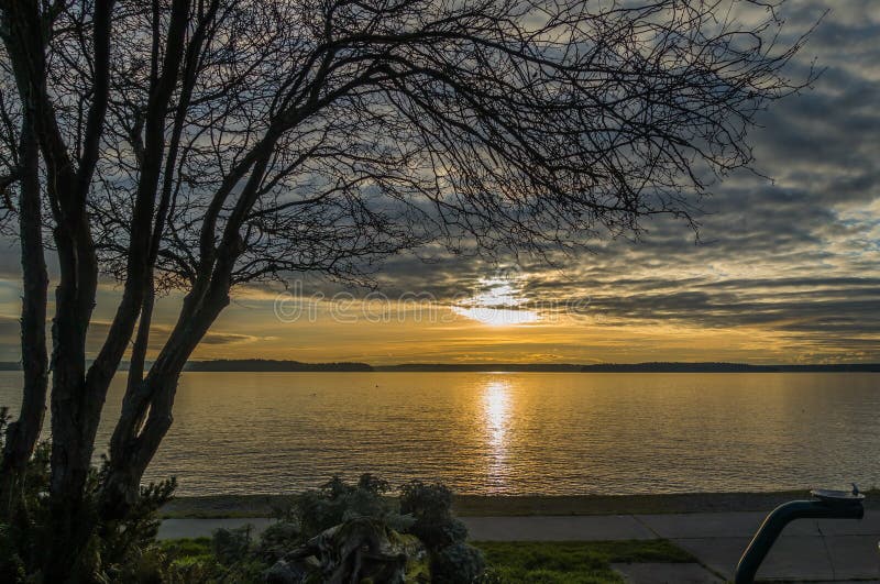 Yellow Sunset Over Puget Sound Stock Image - Image of washington ...