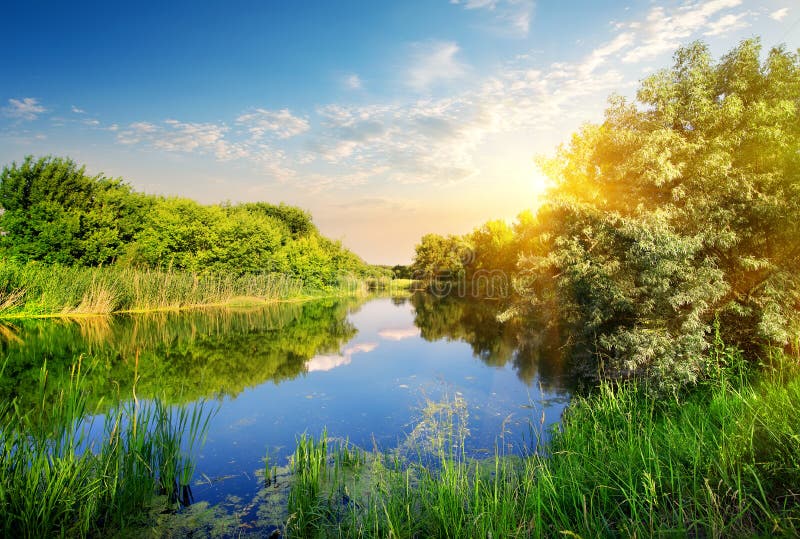 Sunset Over the River in the Forest Stock Image - Image of beauty ...