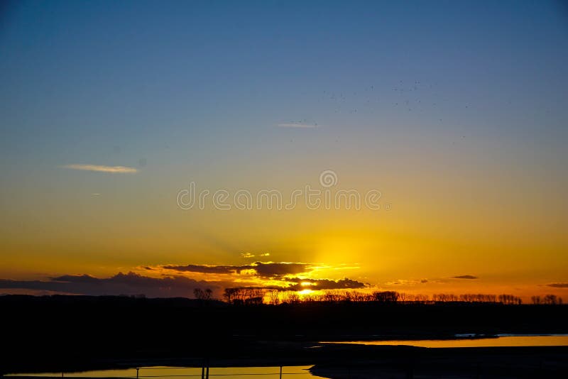 Dramatic Yellow Sunset Seen from a Fishing Lake Stock Photo - Image of ...