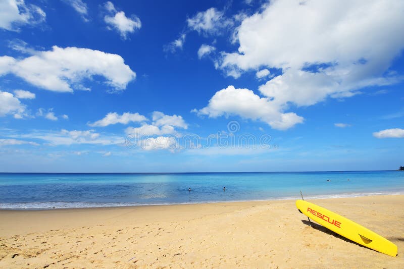 Yellow Surfboard on the Beach Stock Image - Image of summer, nature ...