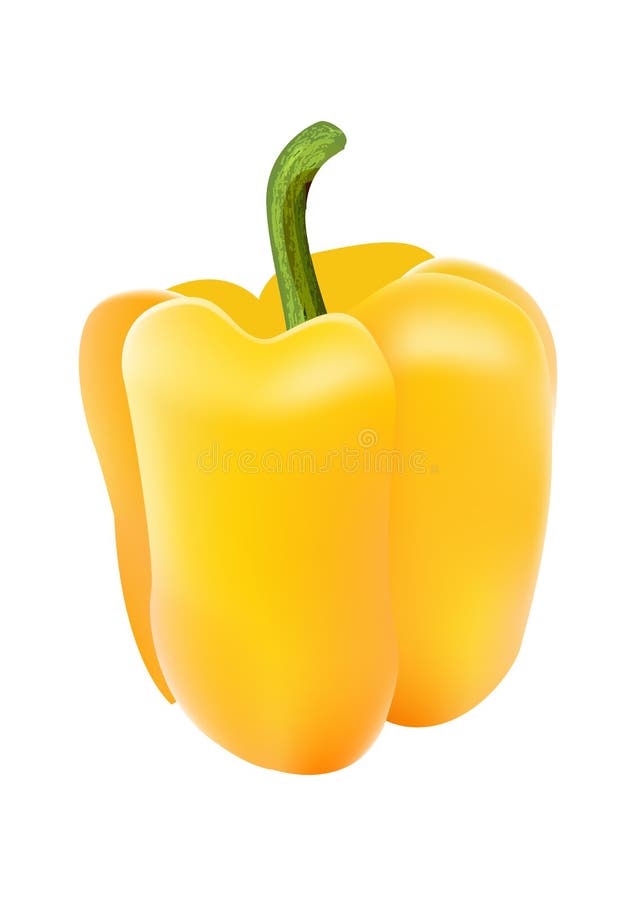 Yellow Sweet Bell Pepper. Vector Illustration Stock Vector ...