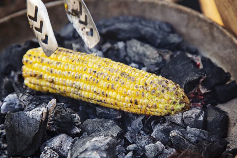Yellow Sweet Corn Roasted on Fire from Black Carbons Stock Image ...