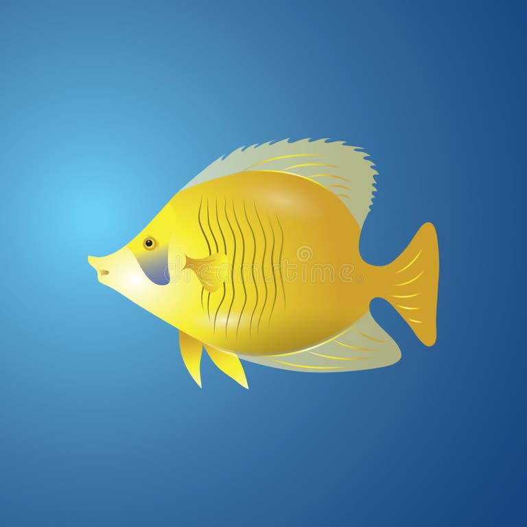 Yellow Tang. Vector Illustration Decorative Design Stock Vector ...