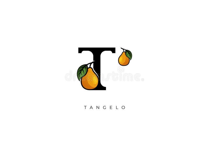 Tangelo Fruit Stock Illustrations – 287 Tangelo Fruit Stock ...