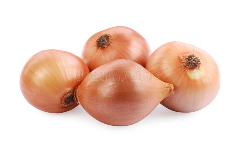Yellow Tasty Fresh Onions Isolated on White Stock Image - Image of ...