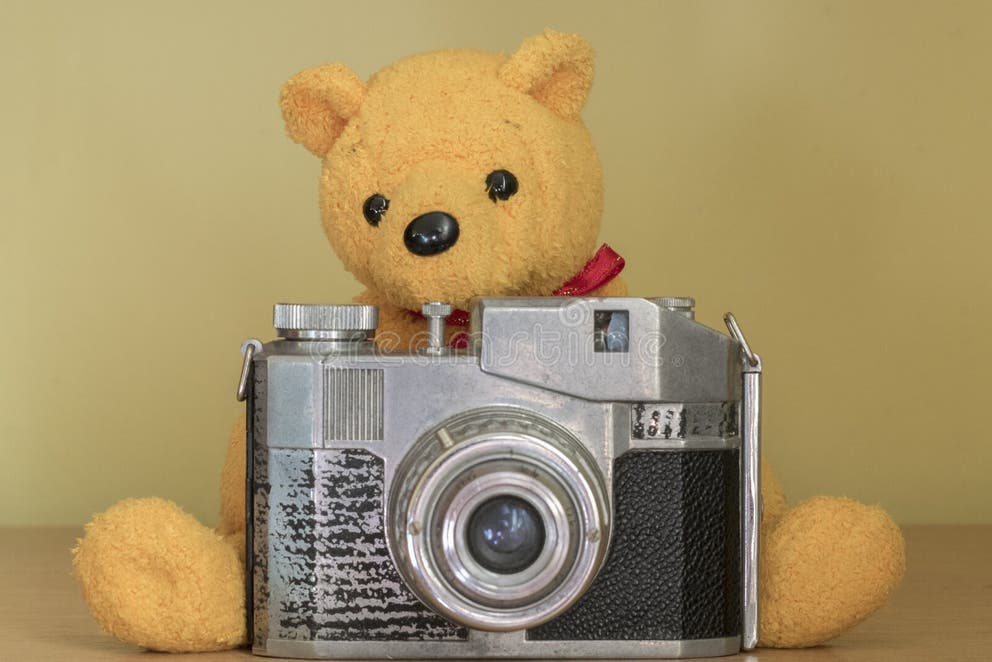 A Yellow Teddy Bear with a Camera Stock Image - Image of photographer ...