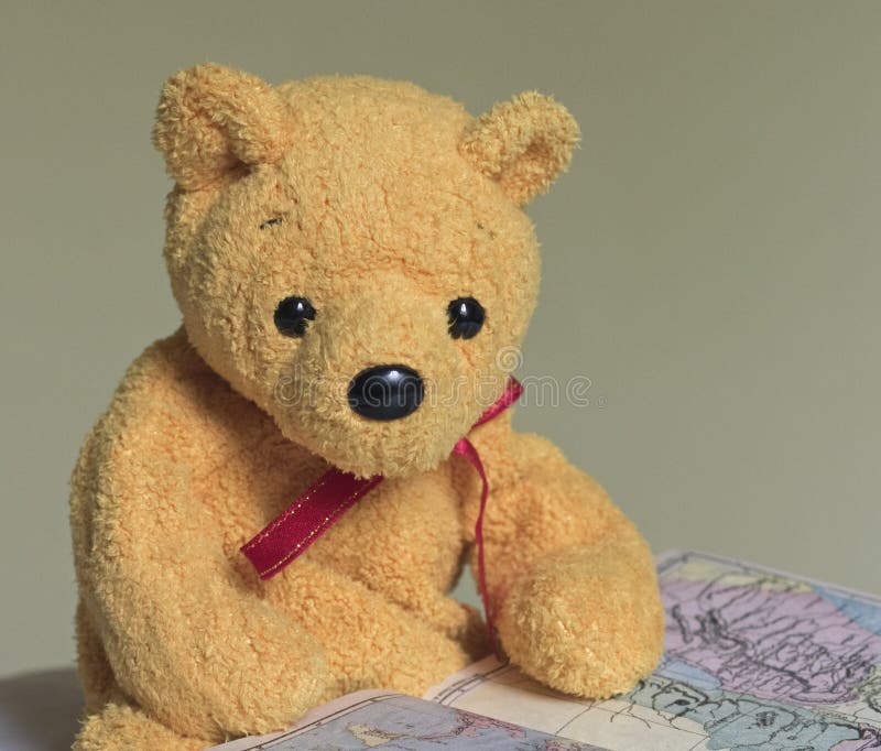 A Yellow Teddy Bear Looking at a Map Stock Photo - Image of geography ...