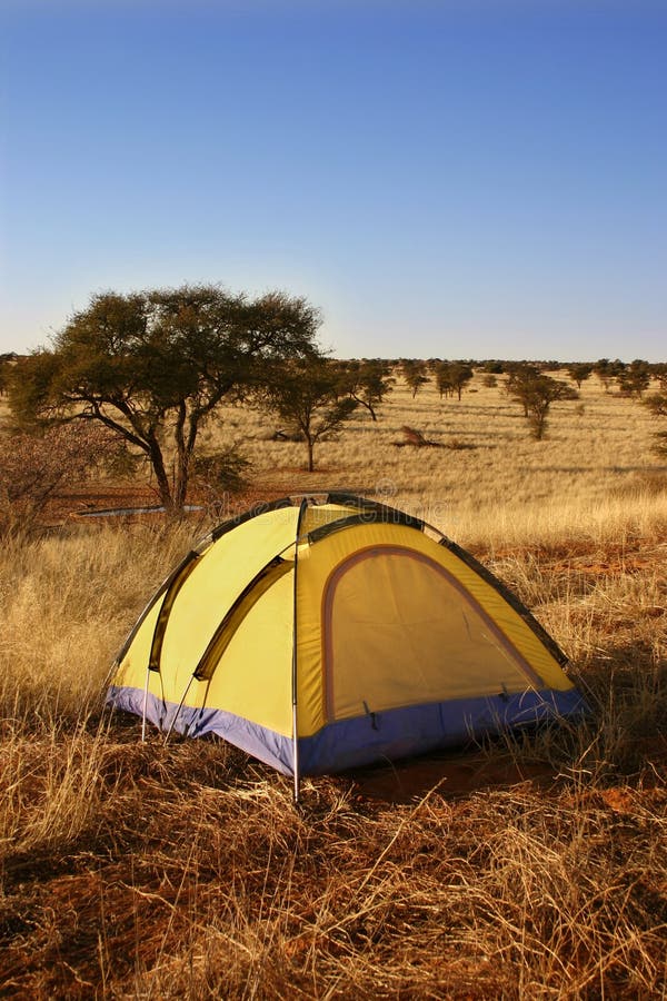 Yellow Tent in the Wilderness. Stock Photo - Image of outdoors, camp ...