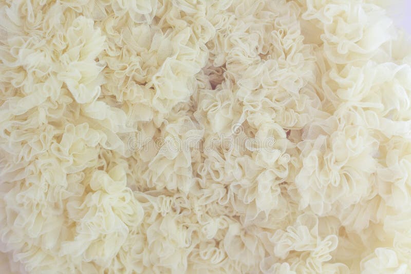 Yellow Tut Skirt Stock Photos - Free & Royalty-Free Stock Photos from ...