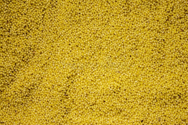 Yellow Texture of Millet. Background. Stock Image - Image of nature ...