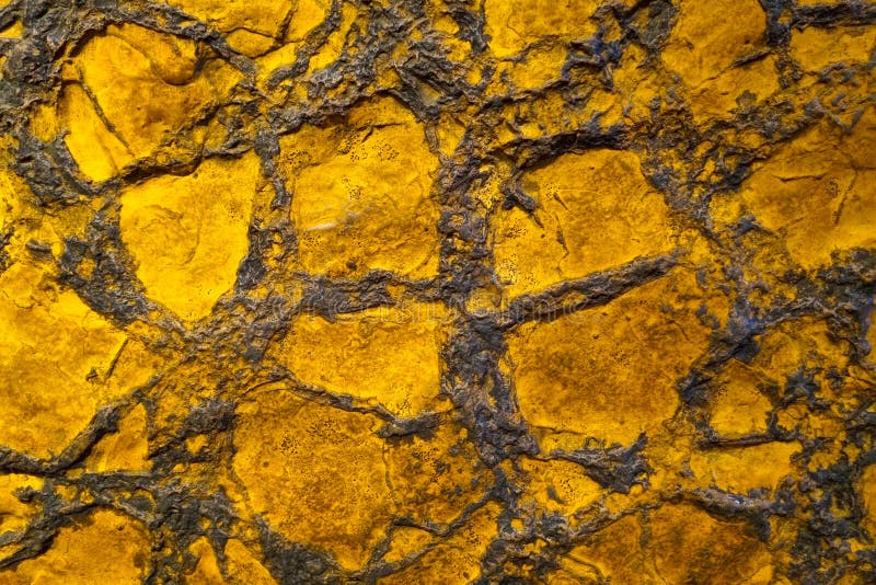 Yellow Textured Concrete Wall of a Building or Structure, Background ...