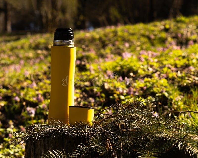 Yellow Thermos on a Stump on a Lawn Outdoors Stock Photo - Image of ...